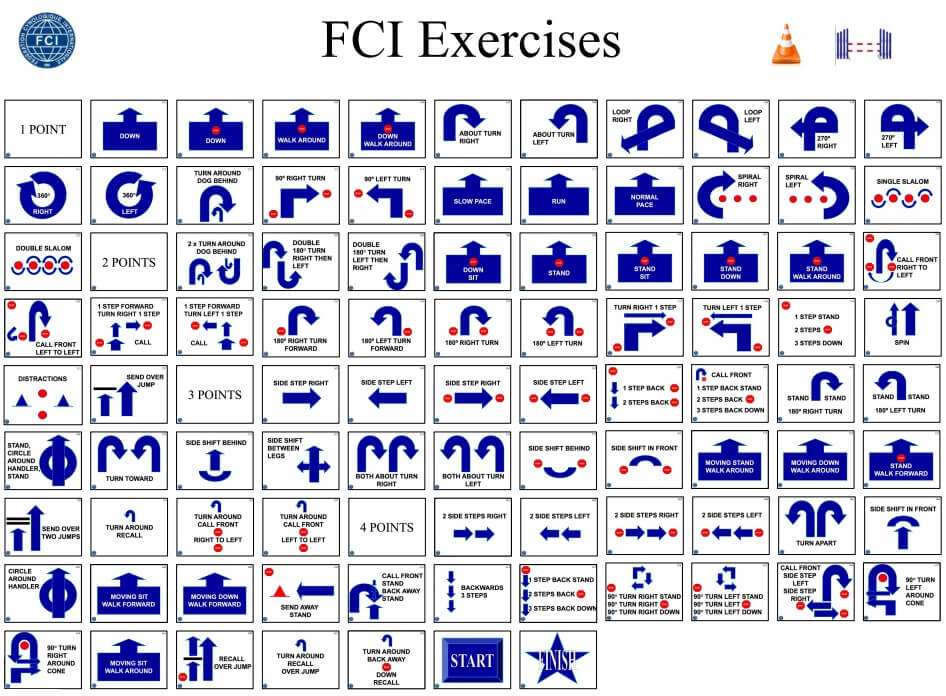 KV-kylttisetti rally-tokoon, kyltit ovat kisakelpoiset ...